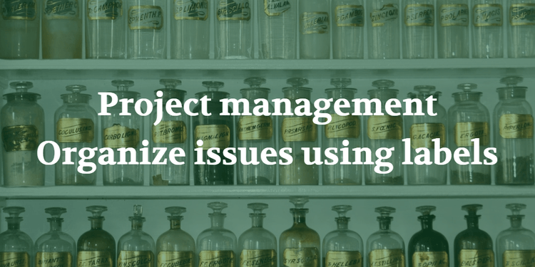 Project management - Organize issues using labels | Edson Frainlar